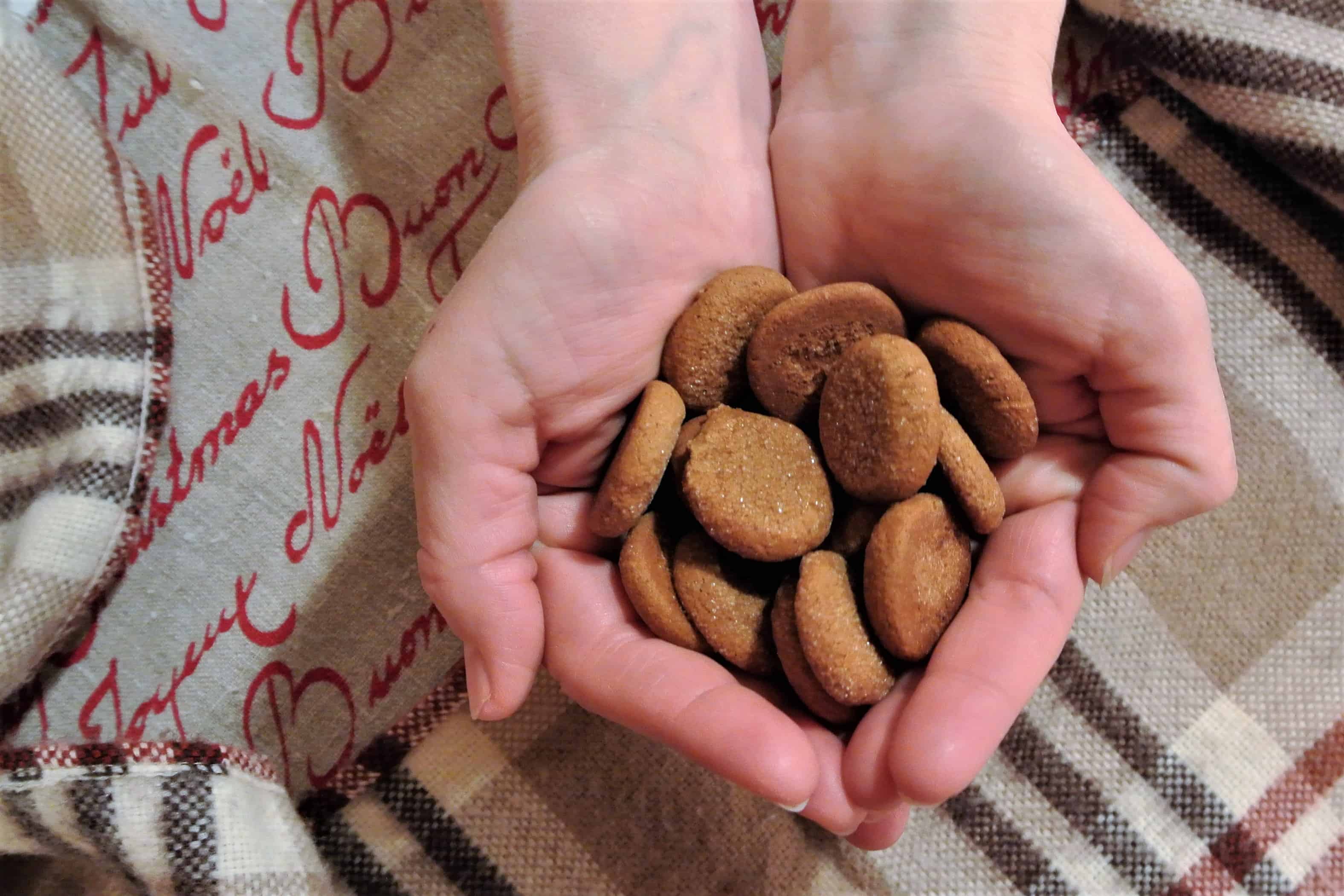 A Handful of Mixed Nuts - Picnic Life Foodie