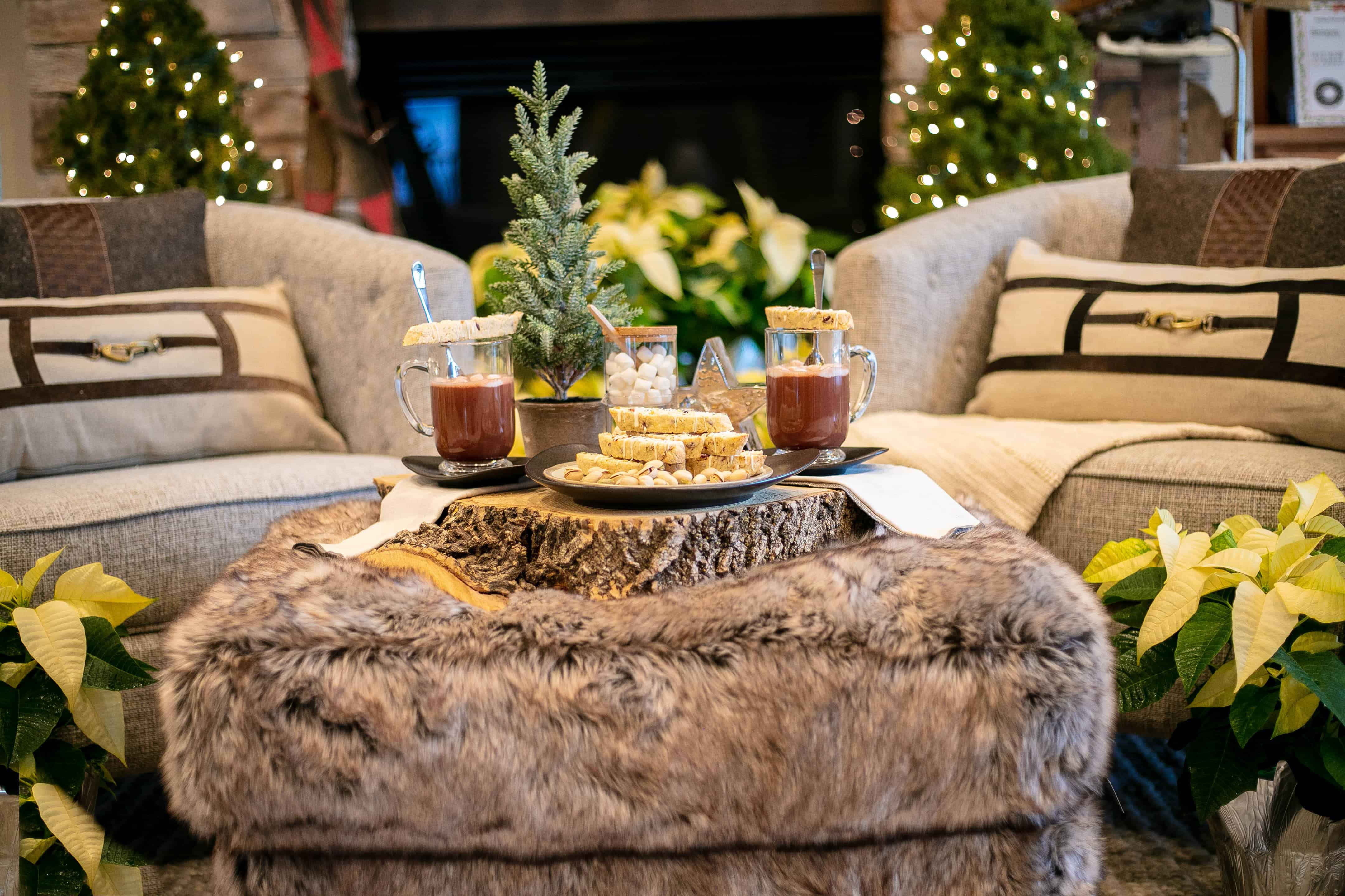 Cozy Cocoa - Picnic Life Foodie