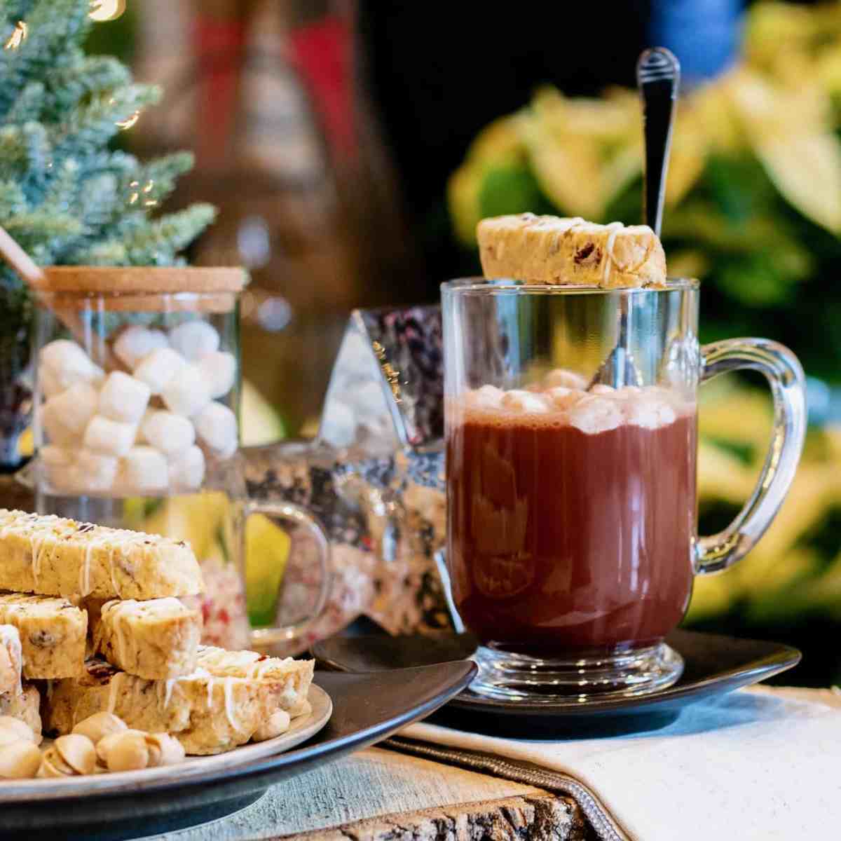 Cozy Cocoa - Picnic Life Foodie