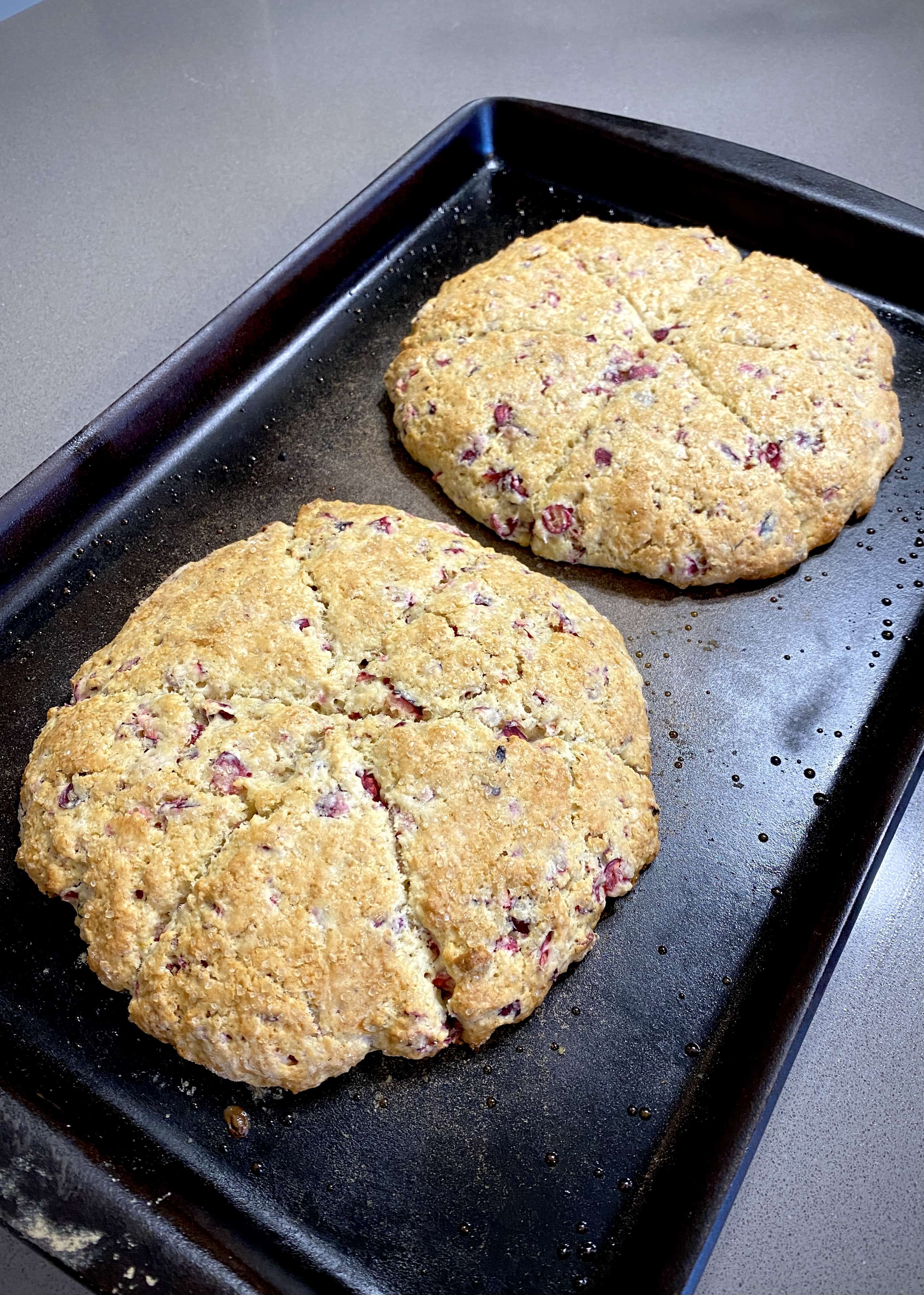 Cranberry Orange Scones Recipe | Picnic Life Foodie