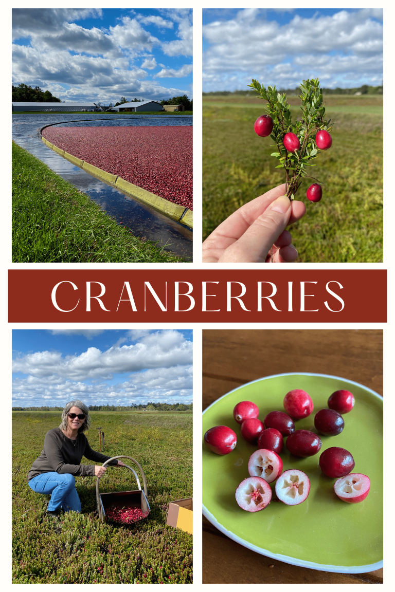 10 Things I Learned About Cranberries That Will Bog-gle the Mind ...