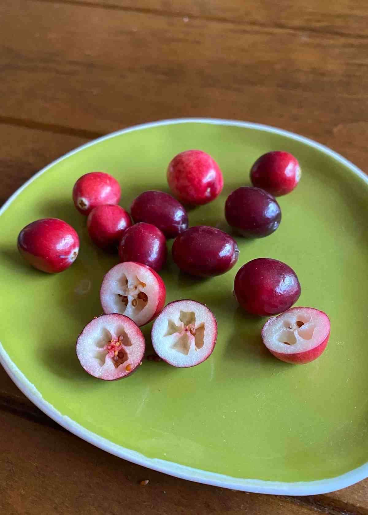 10 Things I Learned About Cranberries That Will Bog-gle the Mind ...