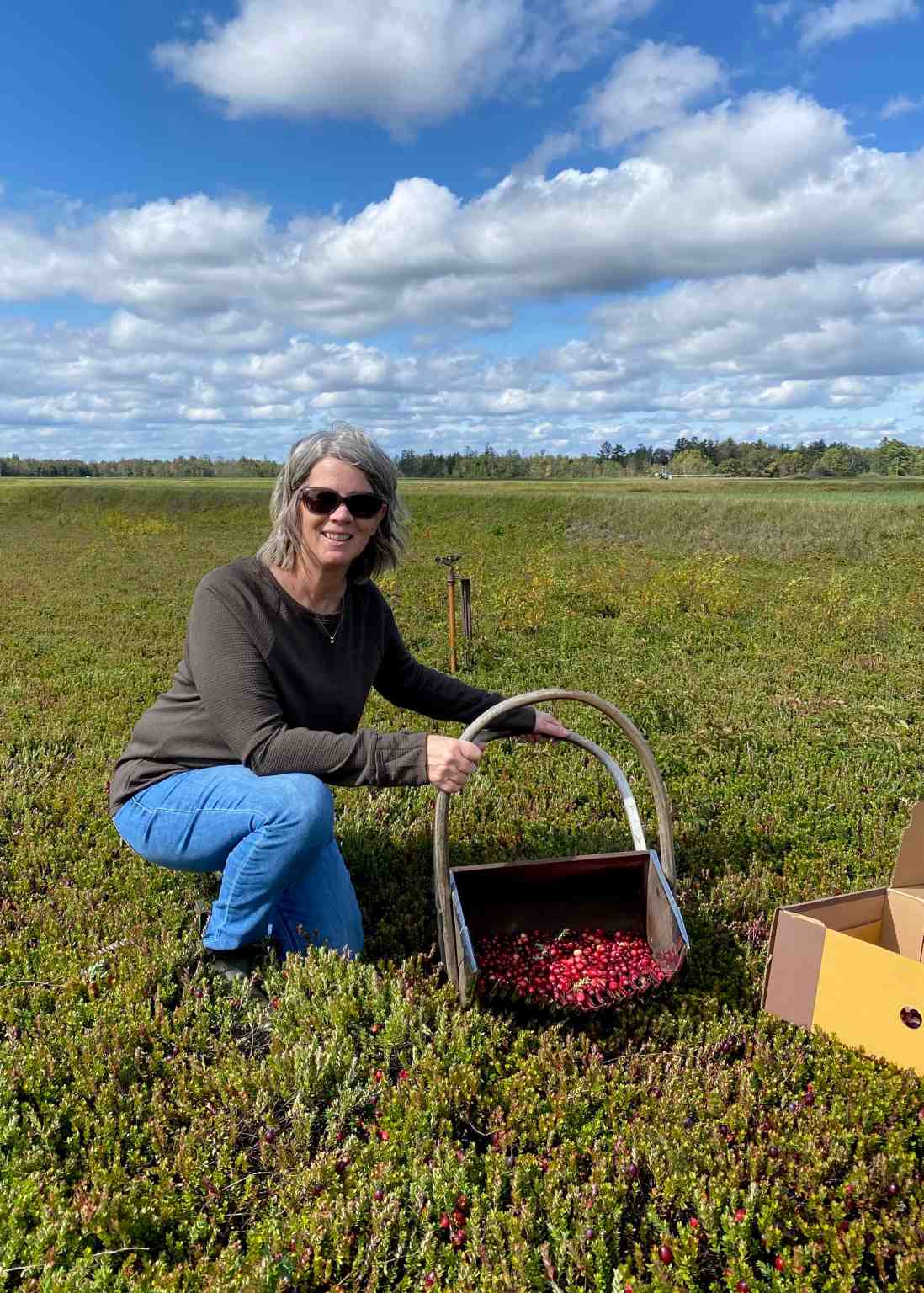 10 Things I Learned About Cranberries That Will Bog-gle the Mind ...