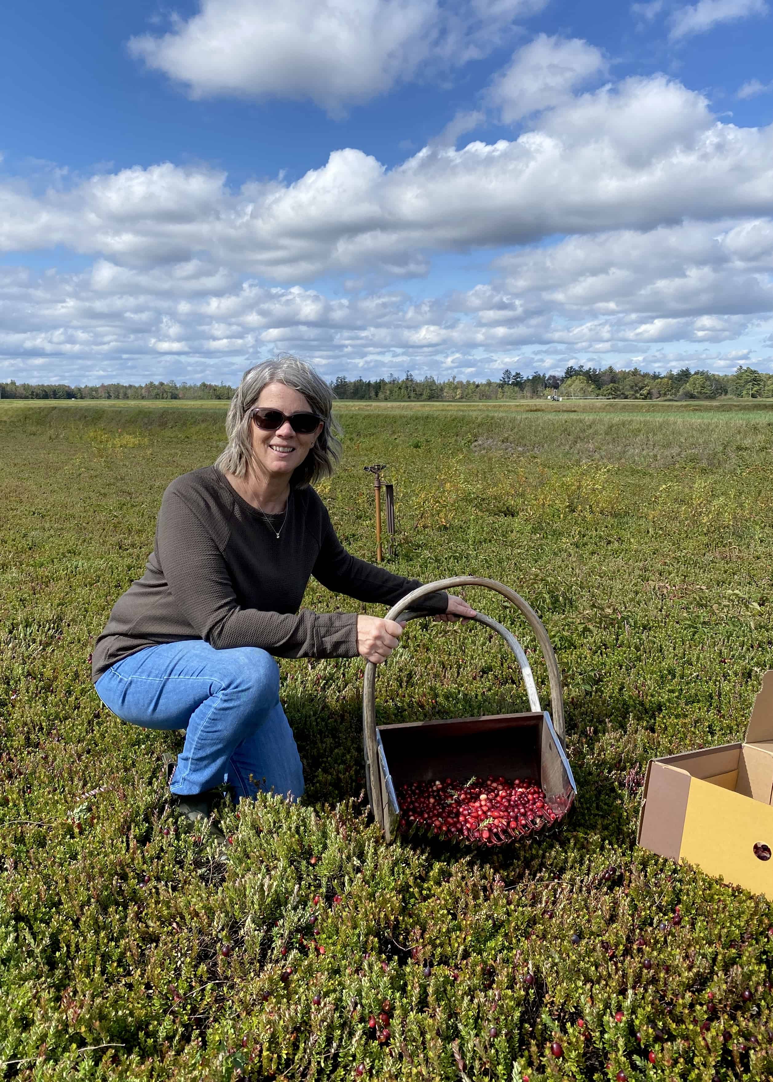 10 Things I Learned About Cranberries That Will Bog-gle the Mind ...